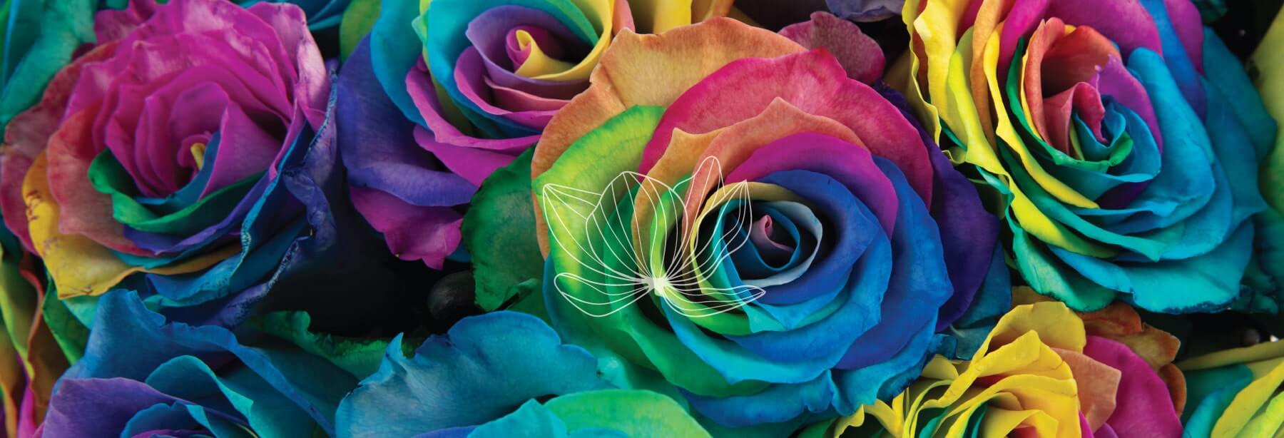 Tinted Ecuadorian Roses • Blooming Emotions - BloomingEmotions.com