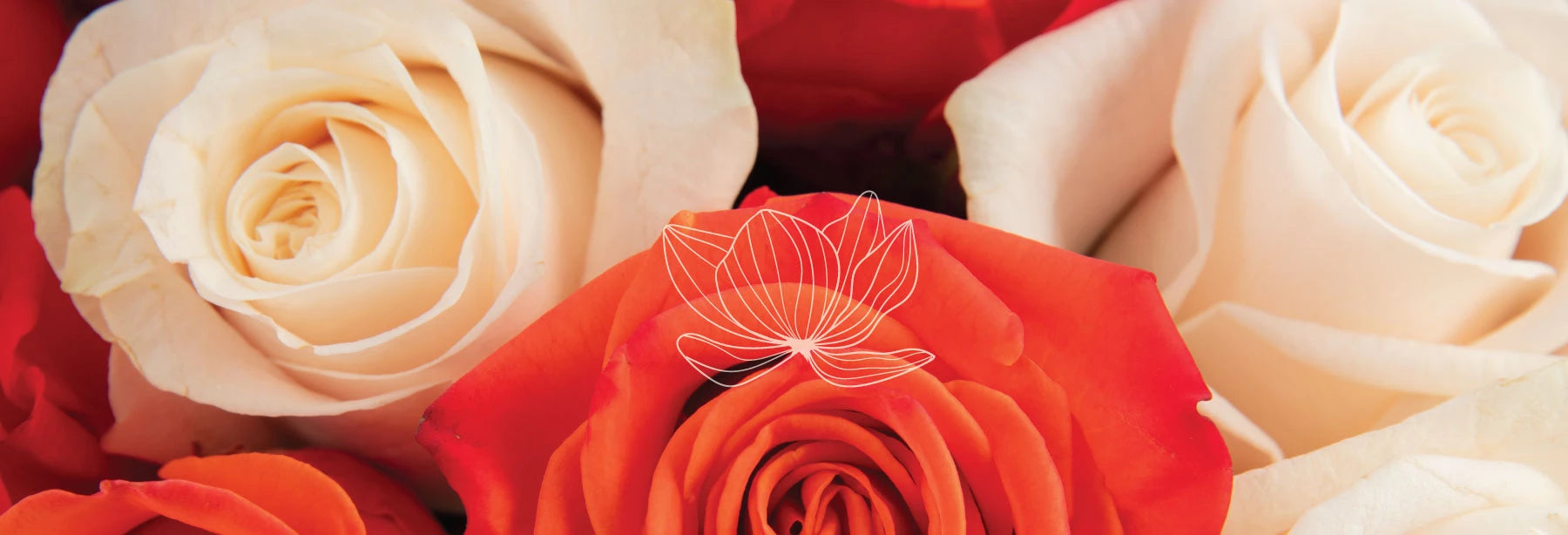 Assorted Roses • Blooming Emotions - BloomingEmotions.com