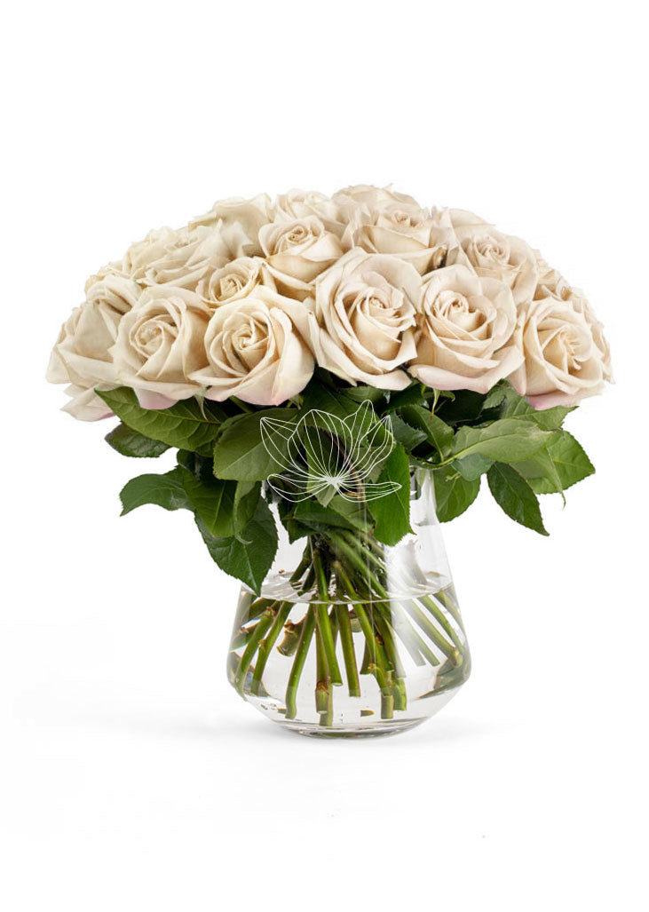 Cream Long Stemmed Roses | Long Stem Flowers | Blooming Emotions ...