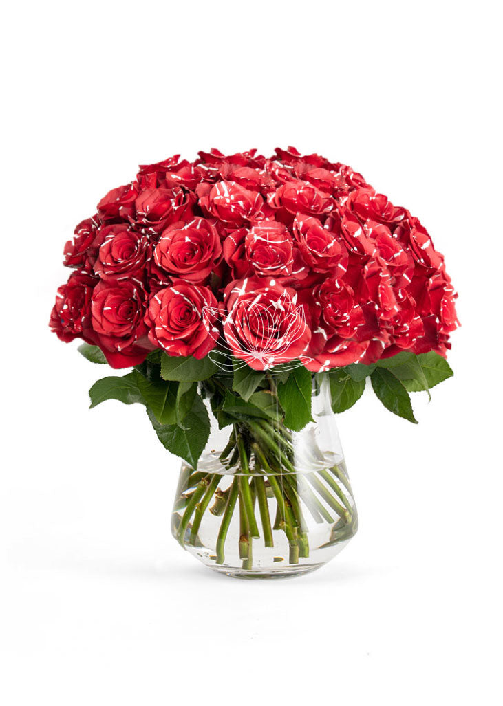 Red Mistletoe Tinted Long Stem Roses | Online Gift Flowers | Blooming ...