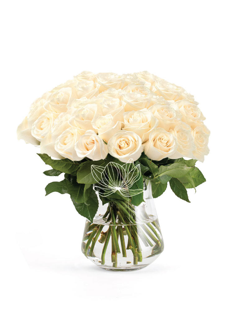 White Long Stemmed Roses | Large Stem Roses | Blooming Emotions ...